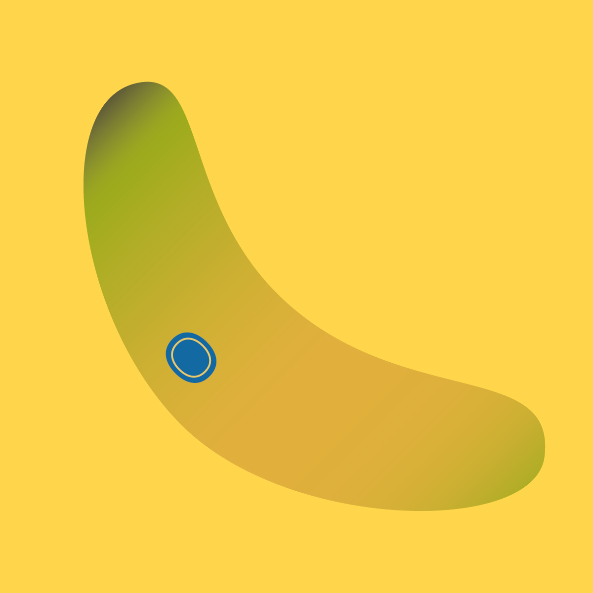 HESUH PARK — What Hesuh Eats